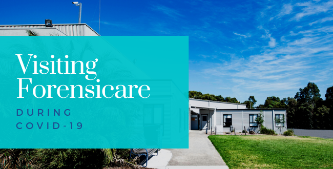 COVID-19 and Influenza A: Important information for visitors to ...